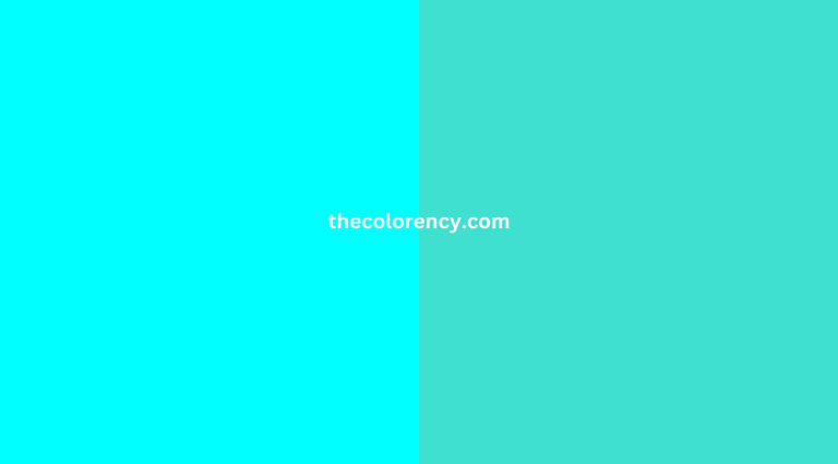 Aqua Vs Turquoise: All the Differences Explained - The Color Ency