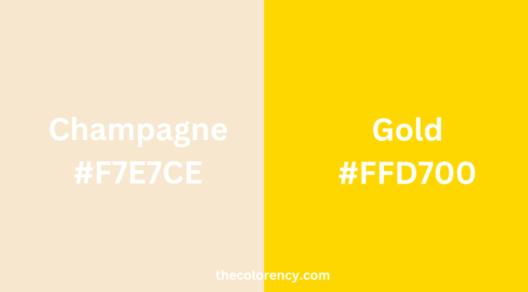 Champagne Vs Gold: All the Differences Explained