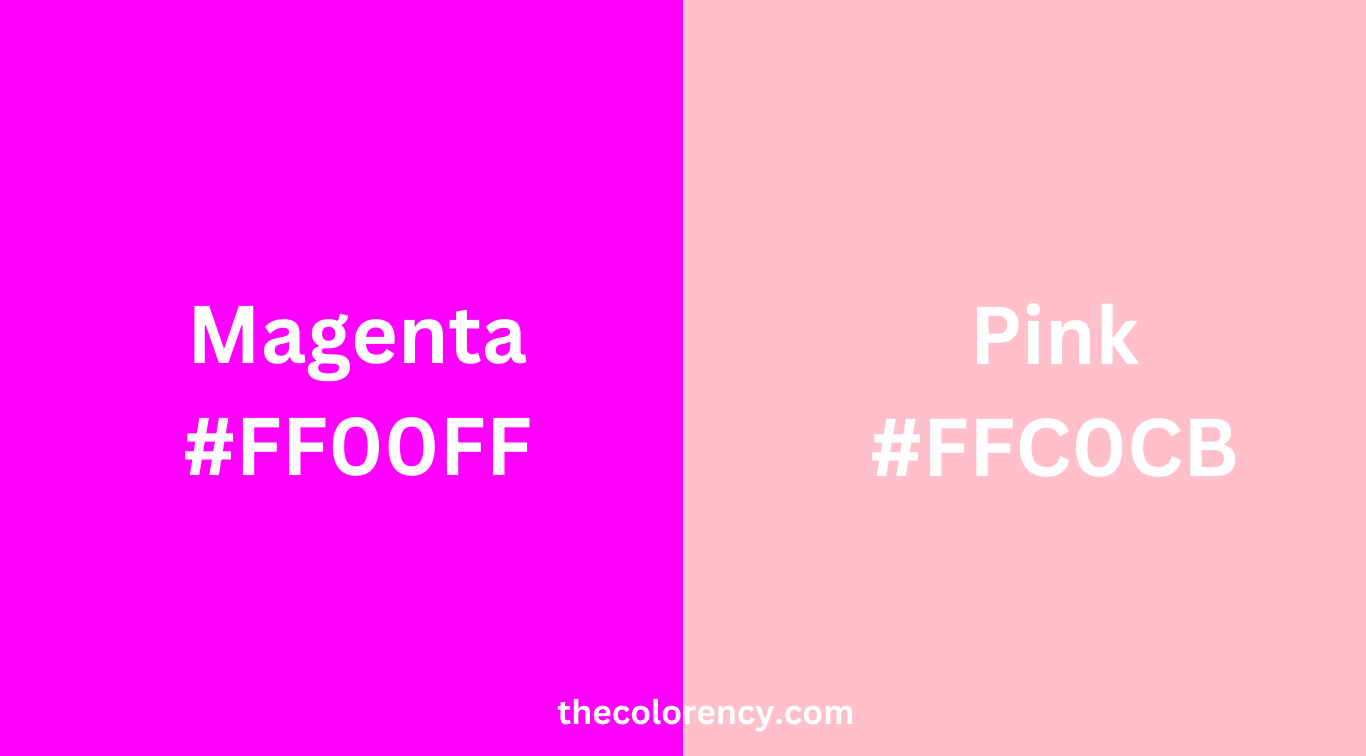 Magenta Vs Pink: All the Differences Explained - The Color Ency