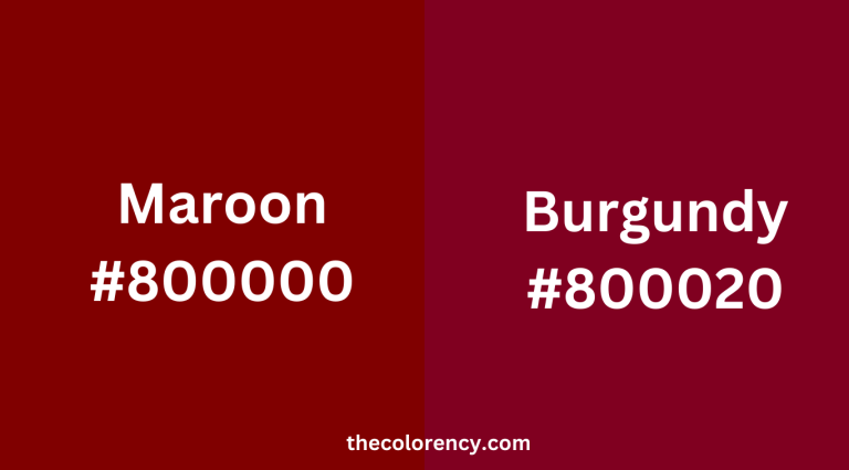 Maroon Vs Burgundy: All the Differences Explained