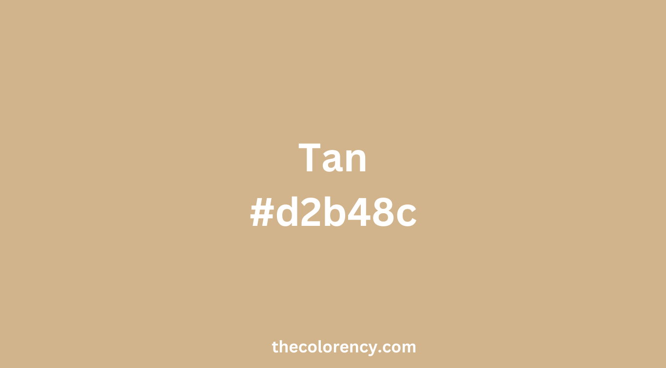 Taupe Vs Tan: All the Differences Explained - The Color Ency