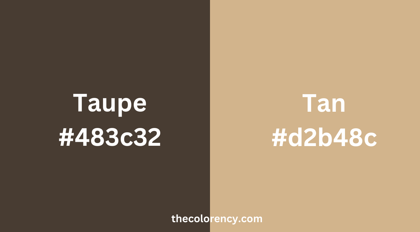 Taupe Vs Tan: All the Differences Explained - The Color Ency