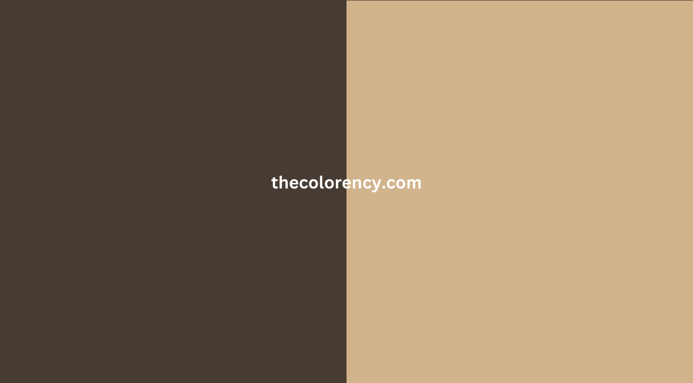 Taupe Vs Tan: All the Differences Explained - The Color Ency