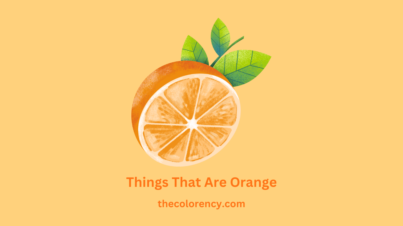 Things That Are Orange: A Comprehensive Guide - The Color Ency