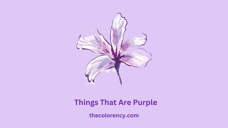 Things That Are Purple - A Comprehensive List