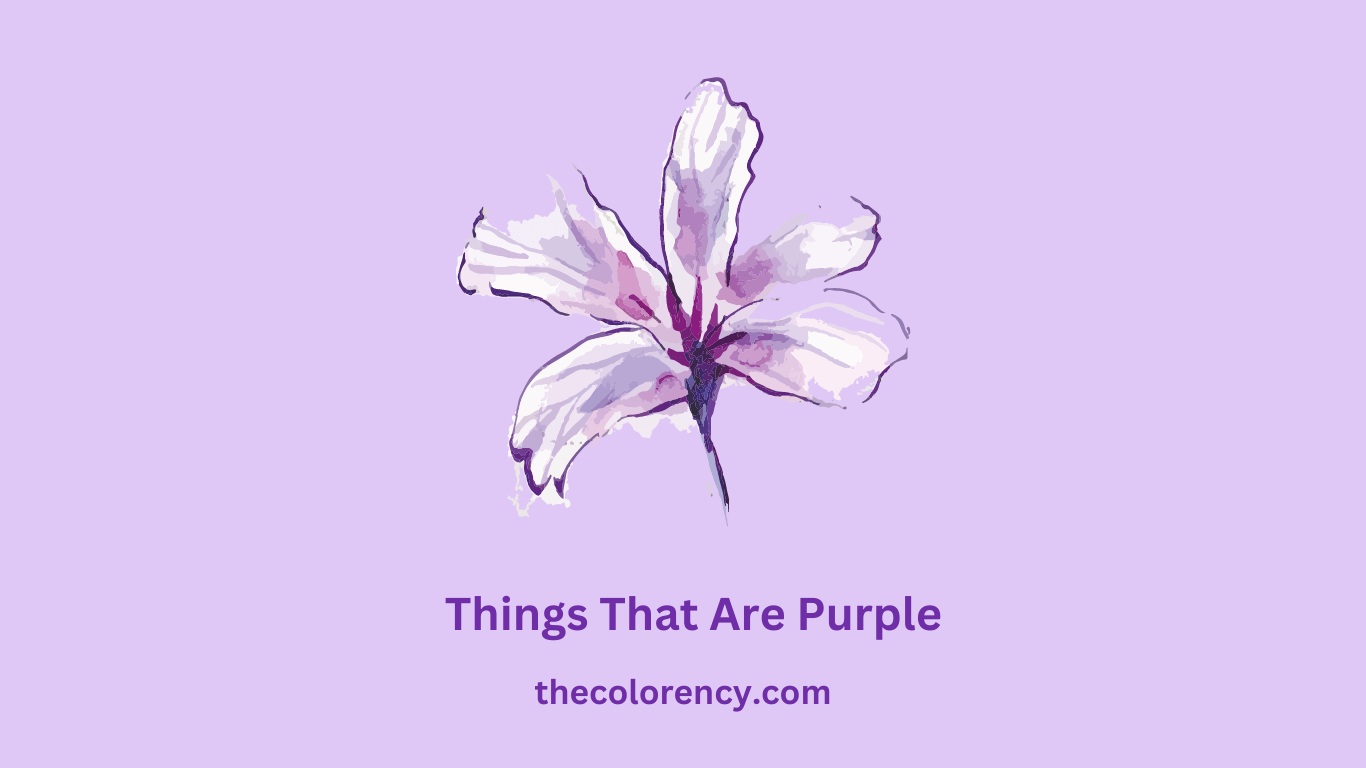 Things That Are Purple - A Comprehensive List
