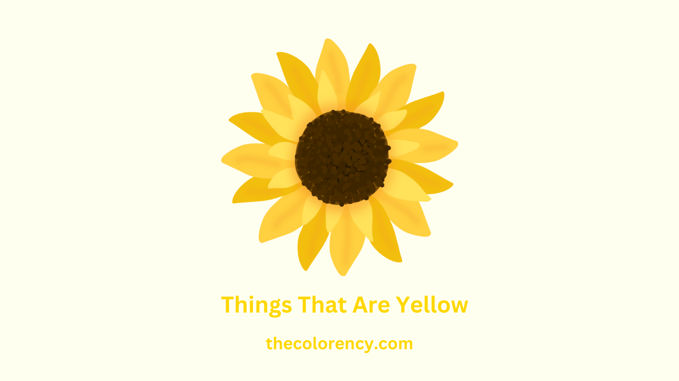 10 Amazing Things That Are Yellow - The Color Ency