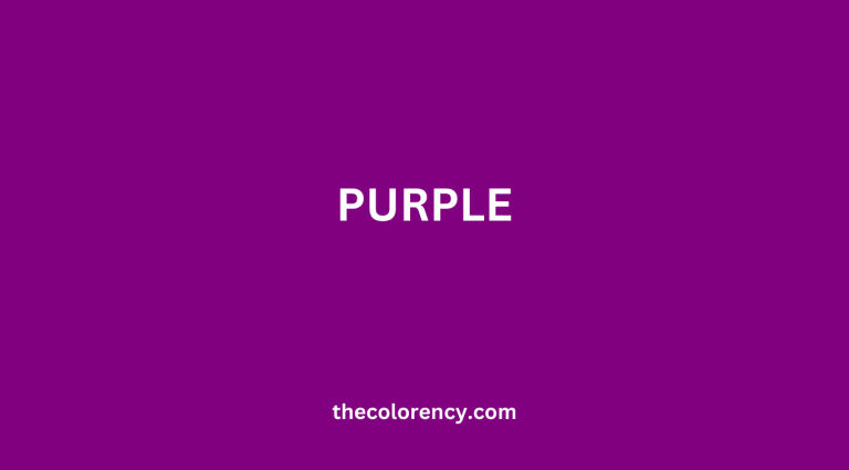 The Meaning of Purple: What Does It Really Mean?
