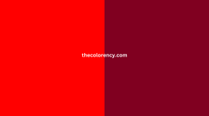 Burgundy Vs Red : Knowing the Difference - The Color Ency