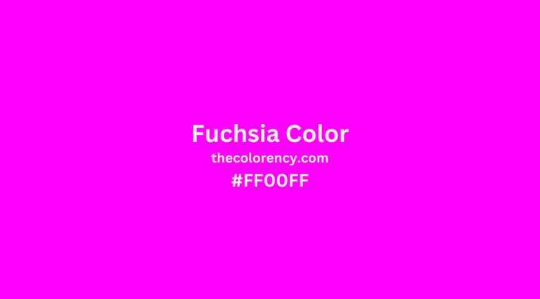 Fuchsia Color