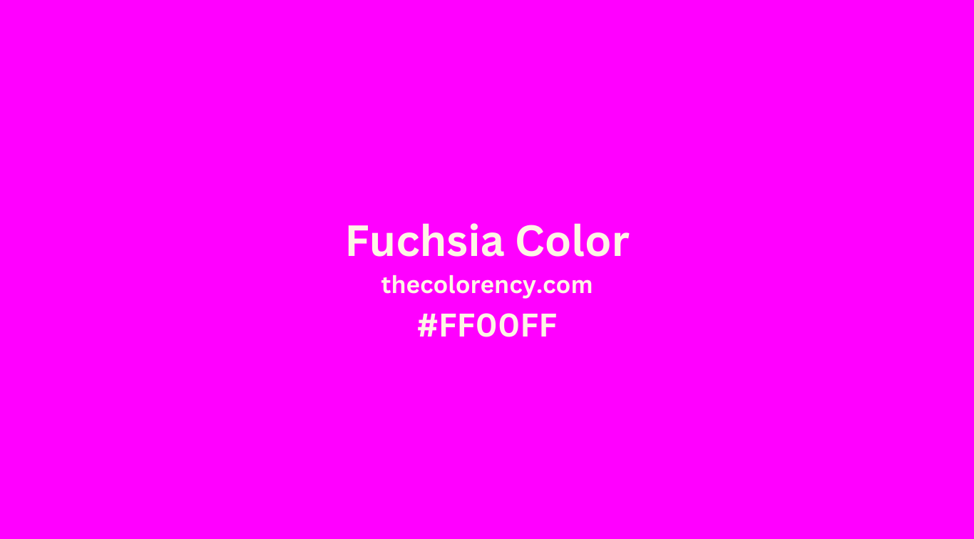 Fuchsia Color All Explained - The Color Ency