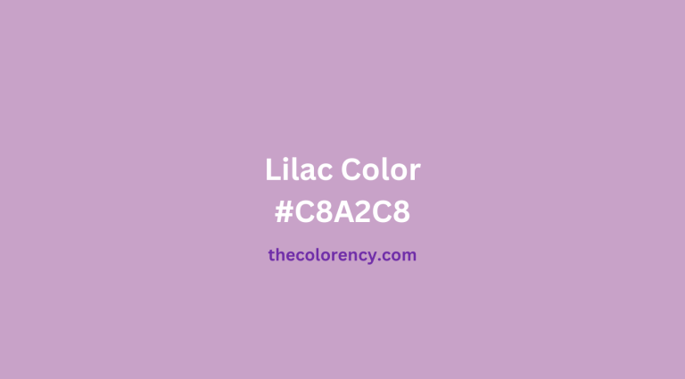 Lilac Color vs Lavender Color: All Differences Explained