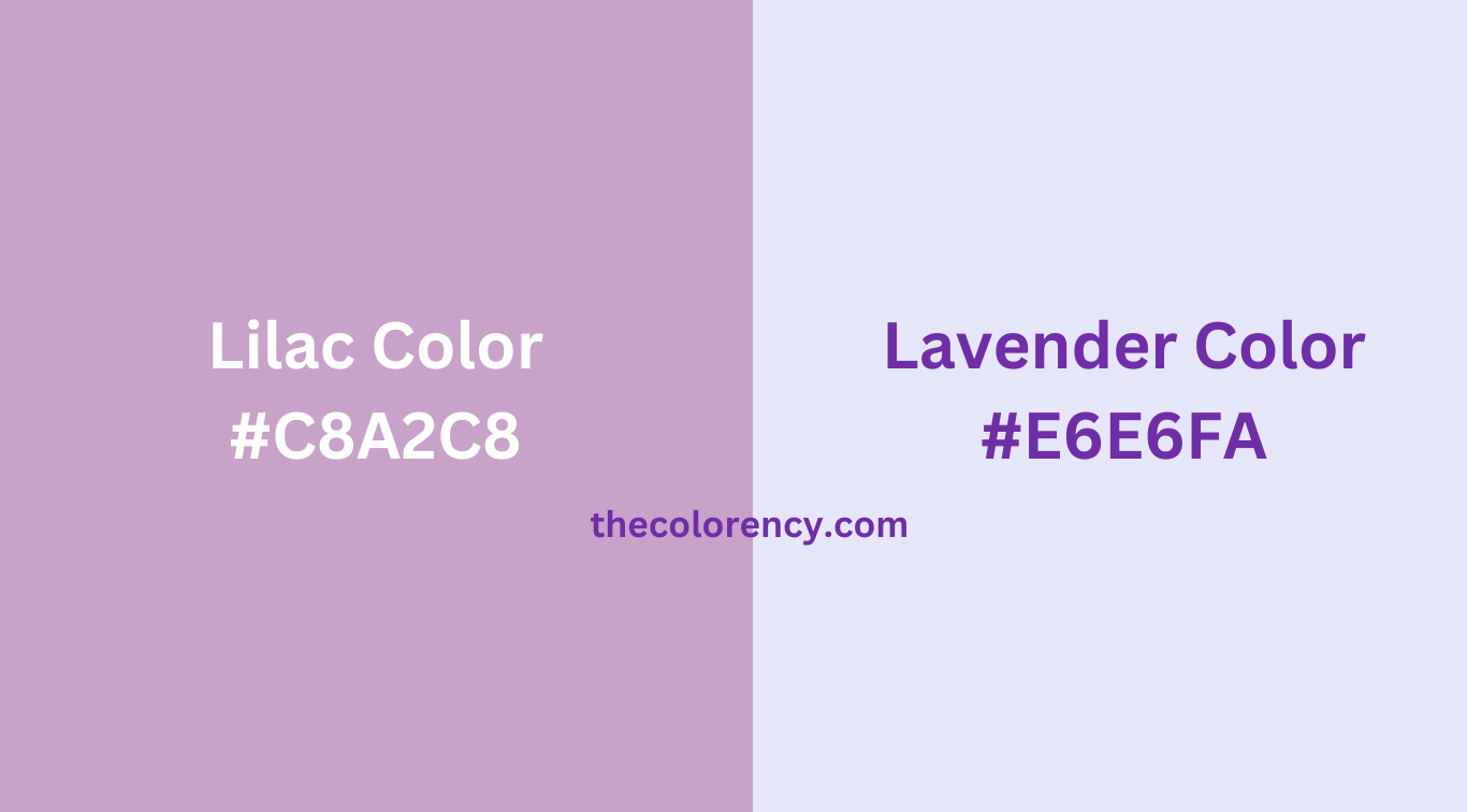 Lilac Color vs Lavender Color: All Differences Explained