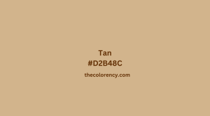 Beige and Tan: Similarities and Differences - The Color Ency
