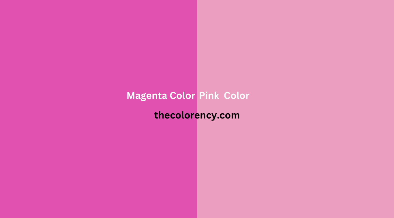 Is Magenta Pink or Purple? Find Out Now! - The Color Ency